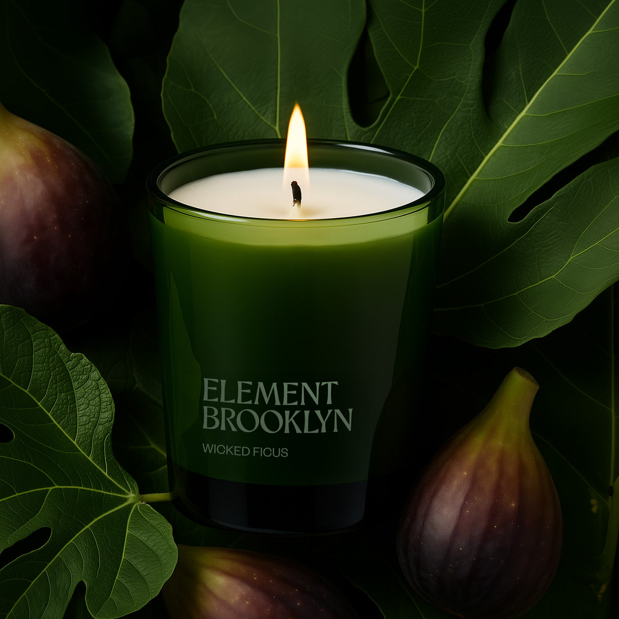Wicked Ficus Candle – Element Brooklyn